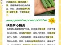 秋葵吃多了有什么坏处_秋葵过量副作用