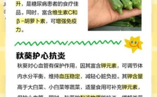 秋葵吃多了有什么坏处_秋葵过量副作用