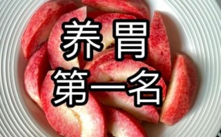 胃不好吃什么养胃_胃胀气吃什么食物好