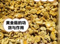 野生黄金菇图片_如何辨别真假