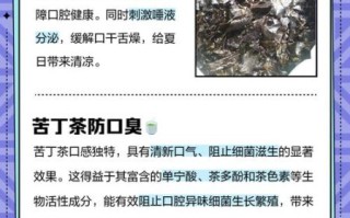 苦丁茶副作用有哪些_苦丁茶喝多了会怎样