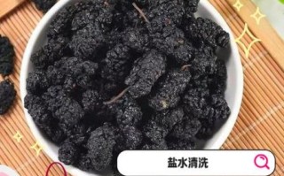 家里如何自制桑葚干_桑葚干怎么做才好吃