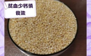 高粱米哪些人不能吃_高粱米禁忌人群