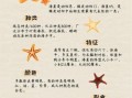 海星有毒吗_被海星扎了怎么办
