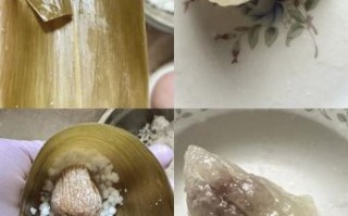 包西米粽子西米用泡吗_西米粽子要不要提前泡