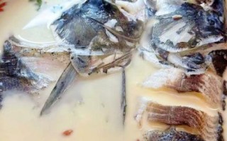 白汤胖头鱼鱼头怎么炖_胖头鱼鱼头汤做法