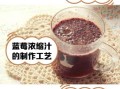 鲜榨蓝莓汁怎么做_蓝莓榨汁要不要加水