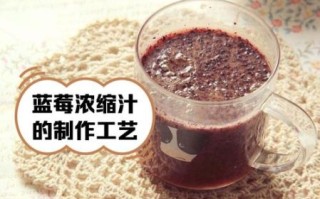 鲜榨蓝莓汁怎么做_蓝莓榨汁要不要加水