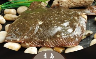 鸦片鱼市场价多少一斤_鸦片鱼多少钱一斤