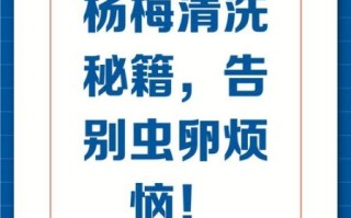 杨梅虫子能吃吗_杨梅虫子怎么洗掉