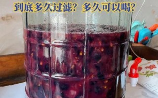 自酿红葡萄酒怎么做_自酿红葡萄酒注意事项