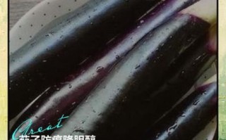 茄子营养价值及功效作用_吃茄子能降血压吗