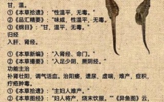 海马的功效与作用_海马怎么吃补肾壮阳