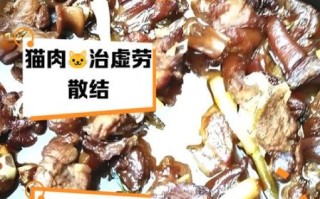 猫肉的做法大全_猫肉怎么做好吃