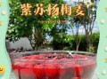紫苏杨梅汁怎么做_紫苏杨梅汁功效与禁忌