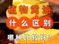 植物黄油和动物黄油哪个健康_哪个更适合日常烹饪
