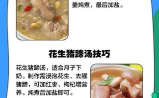 猪蹄下奶汤的做法大全_猪蹄汤怎么炖下奶最快