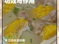 冬瓜排骨汤玉米怎么做_冬瓜玉米排骨汤的功效