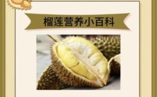 吃榴莲的功效与作用_榴莲的营养价值有哪些