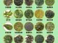 绿茶指的是哪种茶_绿茶和青茶区别
