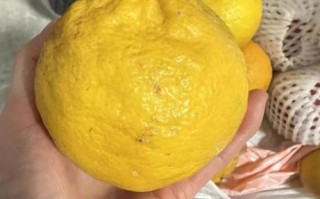 孕妇感冒了怎么办_孕妇感冒偏方大全