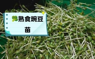 豌豆芽软件怎么用_豌豆芽软件收费吗