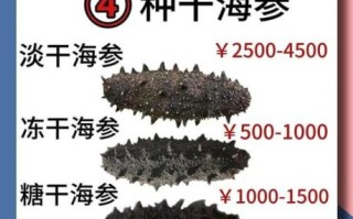 干海参多少钱一斤_如何挑选优质干海参