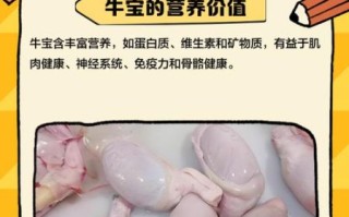 牛宝是什么部位_牛宝是哪个部位图片