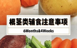 根茎类蔬菜有哪些_根茎类蔬菜怎么保存