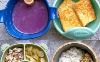 一岁四个月宝宝食谱_每天吃什么