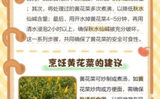 黄花菜中毒是什么原因_鲜黄花菜中毒怎么办