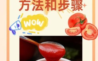 自制番茄酱的做法_没有柠檬怎么办
