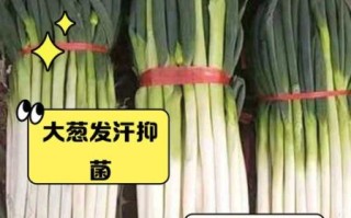 男人吃大葱壮阳吗_大葱壮阳真相