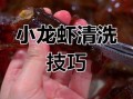 怎么清洗小龙虾又快又干净_小龙虾清洗技巧
