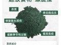 螺旋藻的禁忌人群有哪些_孕妇能吃螺旋藻吗