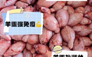 羊肾和羊蛋哪个效果好_羊肾羊蛋功效区别