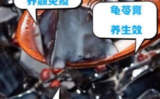 龟苓膏为什么要放乌龟_龟苓膏加乌龟壳的作用