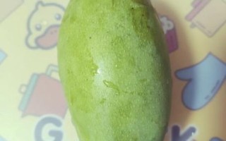 青芒果怎么保存_青芒果图片大全
