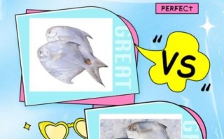 扁平鱼种类图片_扁平鱼怎么区分