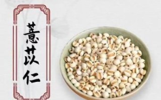 薏苡仁的功效与作用及吃法_薏苡仁怎么吃最祛湿