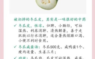 冬瓜皮可以吃吗_冬瓜皮怎么吃