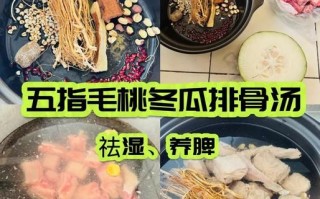 冬瓜排骨汤怎么做_冬瓜排骨汤去腥窍门 冬瓜排骨汤怎么做_冬瓜排骨汤去腥窍门