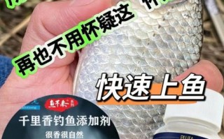 让鱼开口特效西药有哪些_怎么用才有效