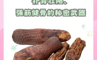 肉苁蓉图片长什么样_肉苁蓉的功效与作用有哪些