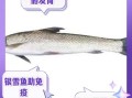 银雪鱼多少钱一斤_银雪鱼怎么做好吃