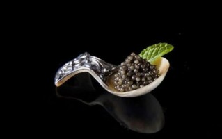 一条鲟鱼能产多少鱼子酱_鲟鱼子酱产量影响因素