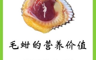 毛蛤蜊的营养价值_毛蛤蜊有哪些营养成分