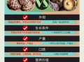 香菇和金针菇哪个营养高_如何挑选新鲜菇类