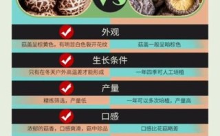 香菇和金针菇哪个营养高_如何挑选新鲜菇类