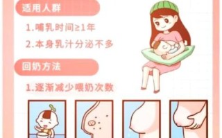 科学回奶的正确方法_如何自然回奶不痛苦